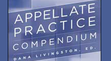 Q&A with Authors on ABA's New Appellate Practice Guide - The Texas Lawbook