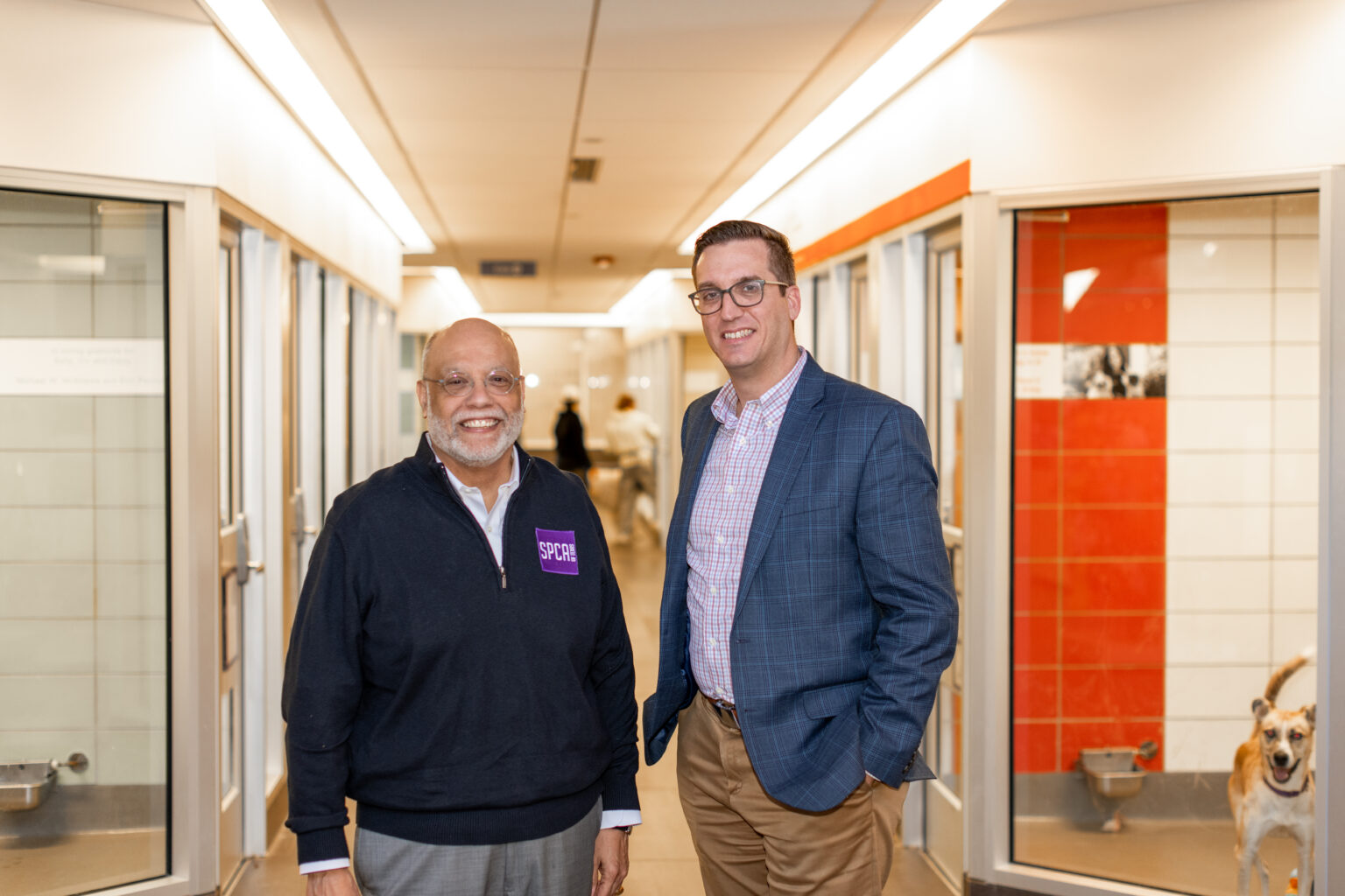 P.S. — SPCA and Jones Day: 2024 DFW Creative Partnership of the Year ...